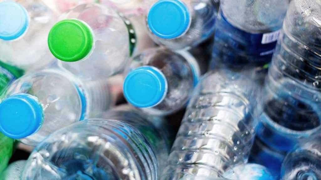 Media - Eva-Last USA