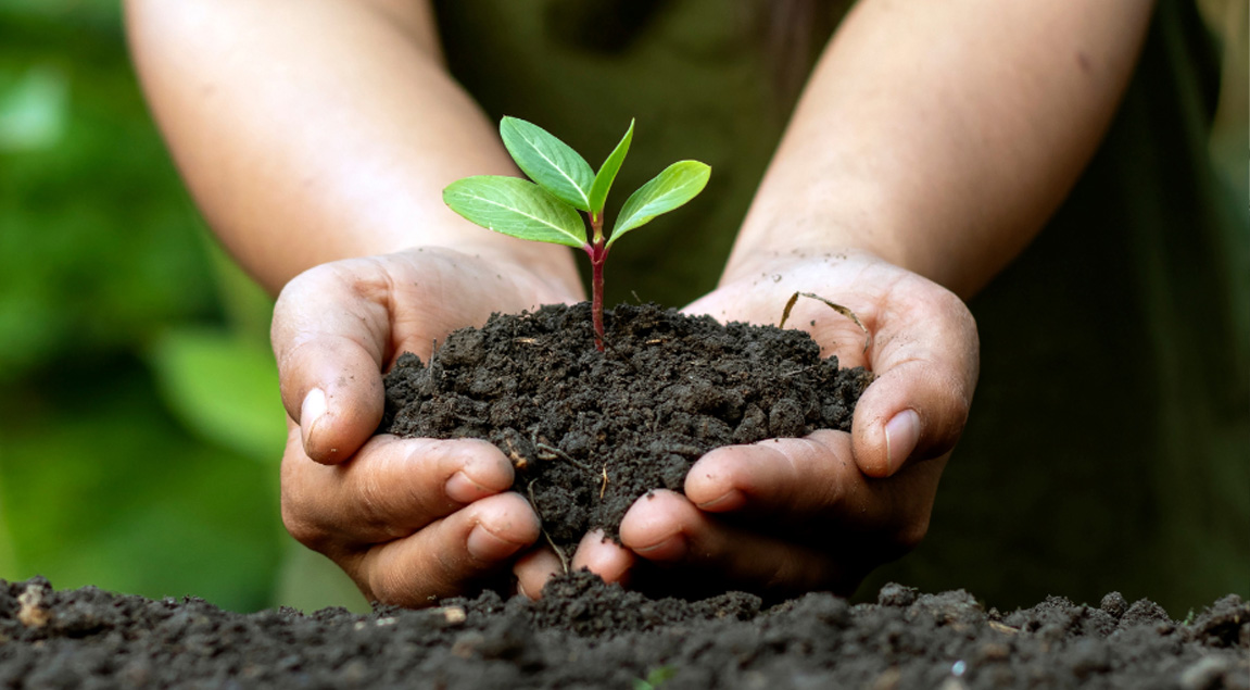 Eva-Last - Sustainable Composite Building Material